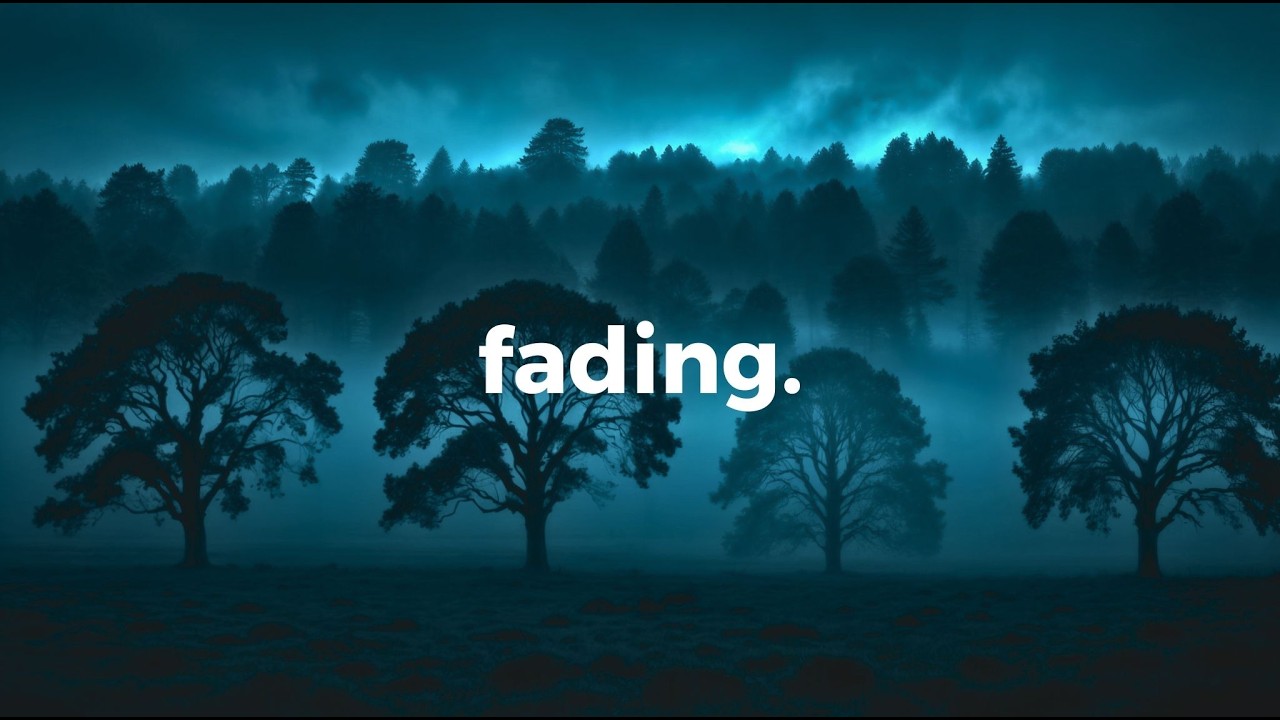 𝐟𝐚𝐝𝐢𝐧𝐠 𝐭𝐨𝐠𝐞𝐭𝐡𝐞𝐫. - YouTube