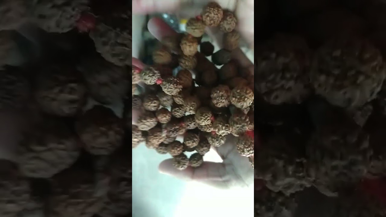 how to draw rudraksha mala beautiful picture drawing short video very ...