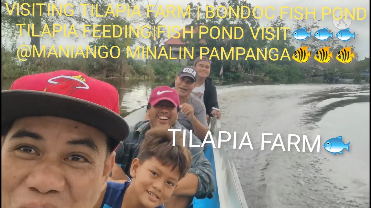 VISITING TILAPIA FARM | BONDOC FISH POND | TILAPIA FEEDING|FISH POND ...