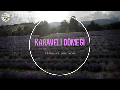 KARAVELİLER DÖMEĞİ LAVANTA BAHÇESİ