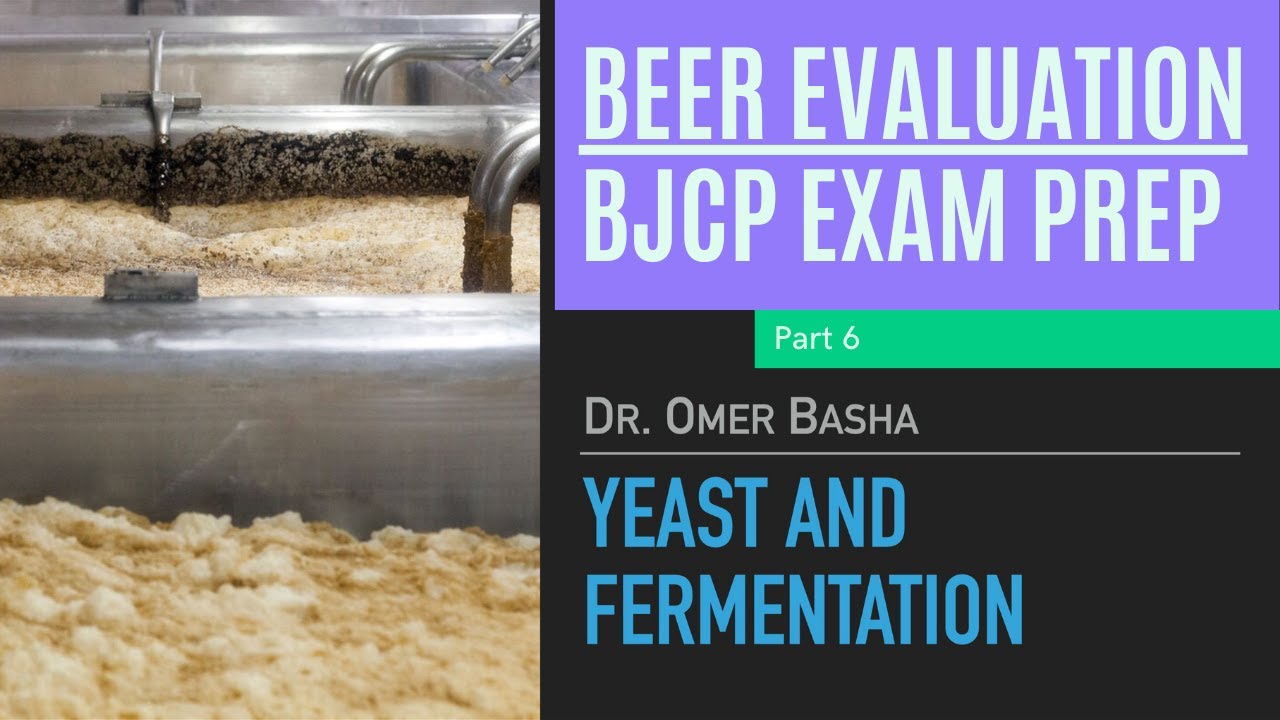 BJCP Beer Exam Prep Course - 6 - Yeast and Fermentation - YouTube