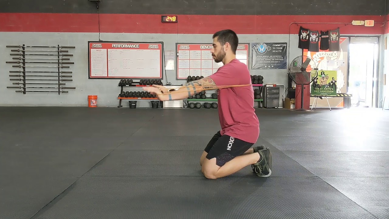 Banded Isometric Quadruped Hold - YouTube