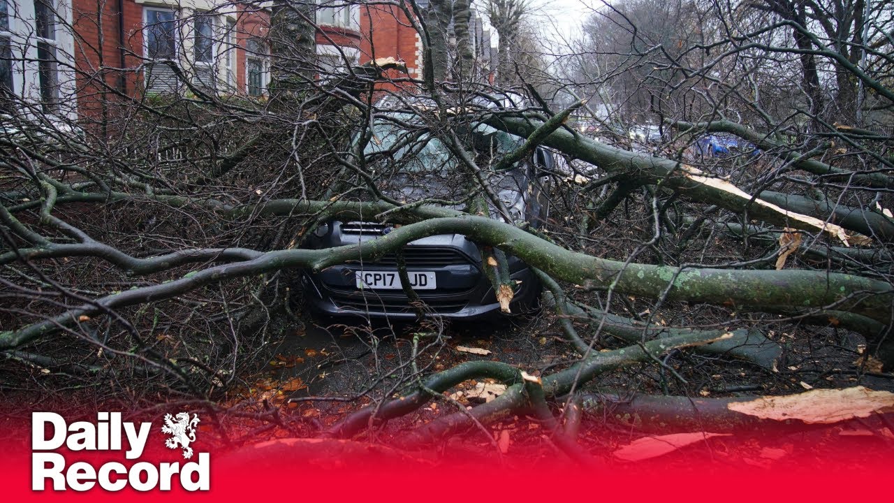 Storm Darragh: Fallen tree crushes car in Liverpool and Merseyside ...