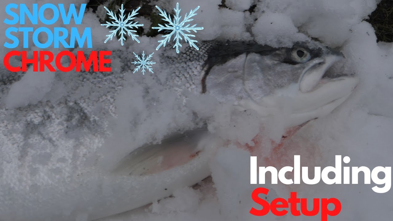 Plunking For WINTER STEELHEAD In The SNOW | Including HOW-TO | - YouTube