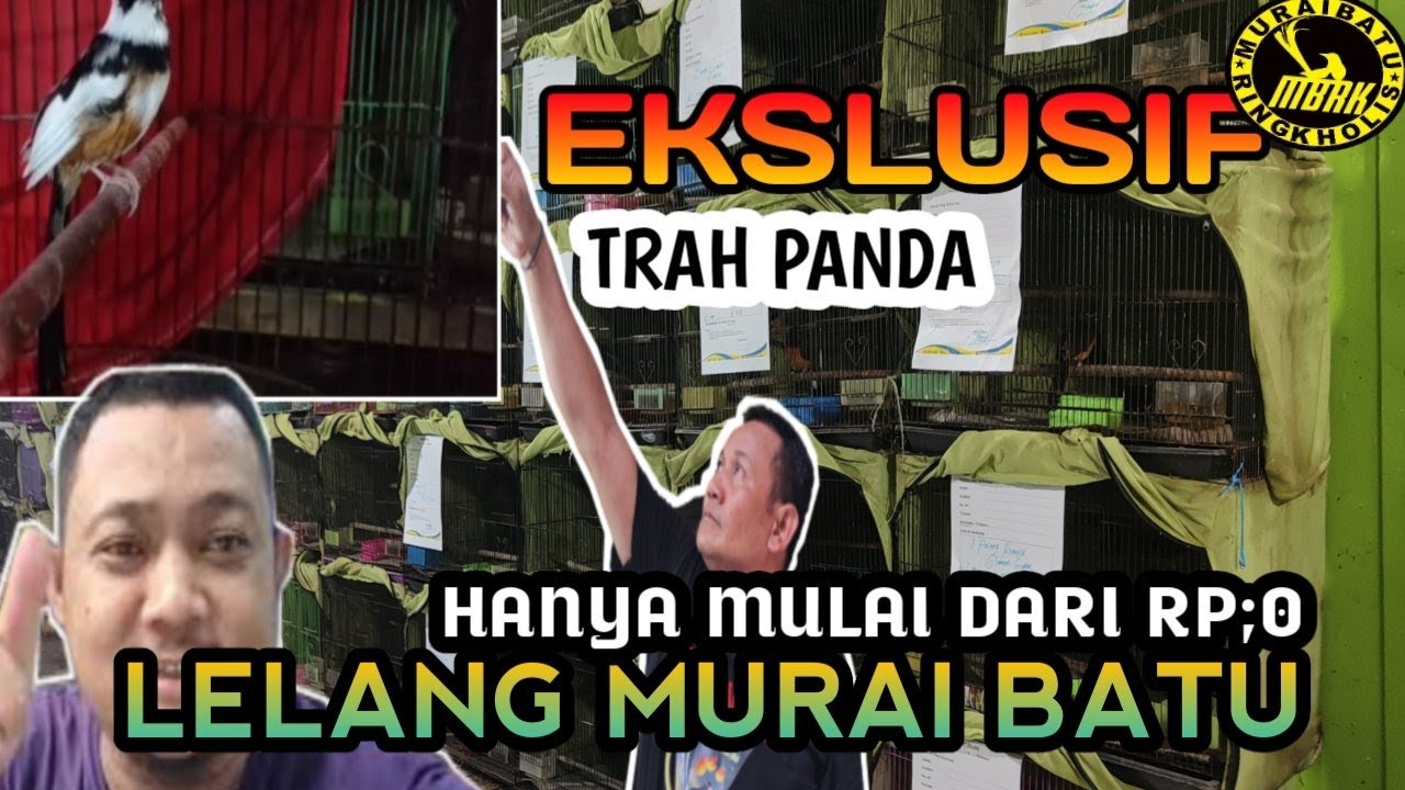 🔴LIVE LELANG KEMBALI HADIR BIKIN PALA PUSING SPESIAL WARNA - YouTube