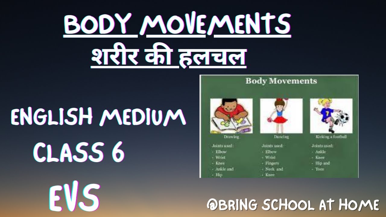 Body Movements class 6 EVS English medium - YouTube