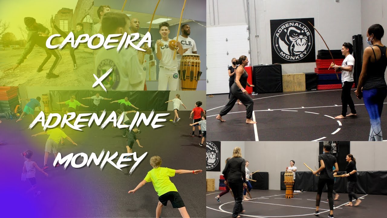 Capoeira x Adrenaline Monkey - YouTube