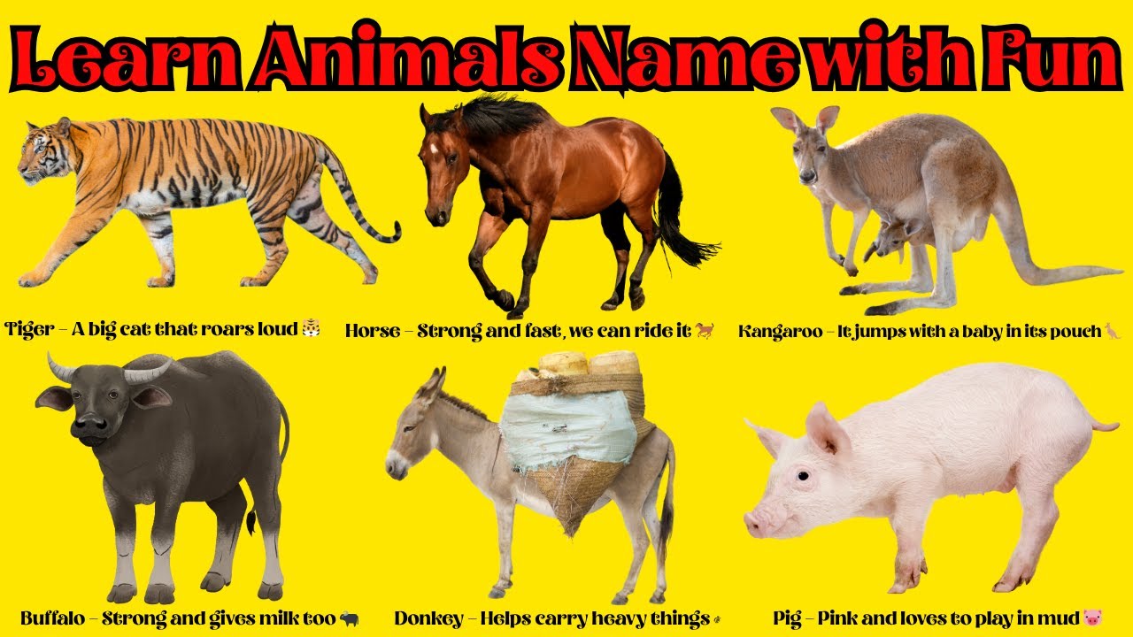 Animal Names for Toddlers | Fun & Easy Learning Video for Kids 🐻| Learn ...