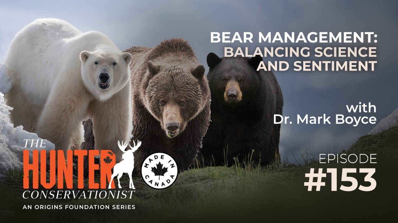 Bear Management: Balancing Science & Sentiment || Ep. 153 - YouTube