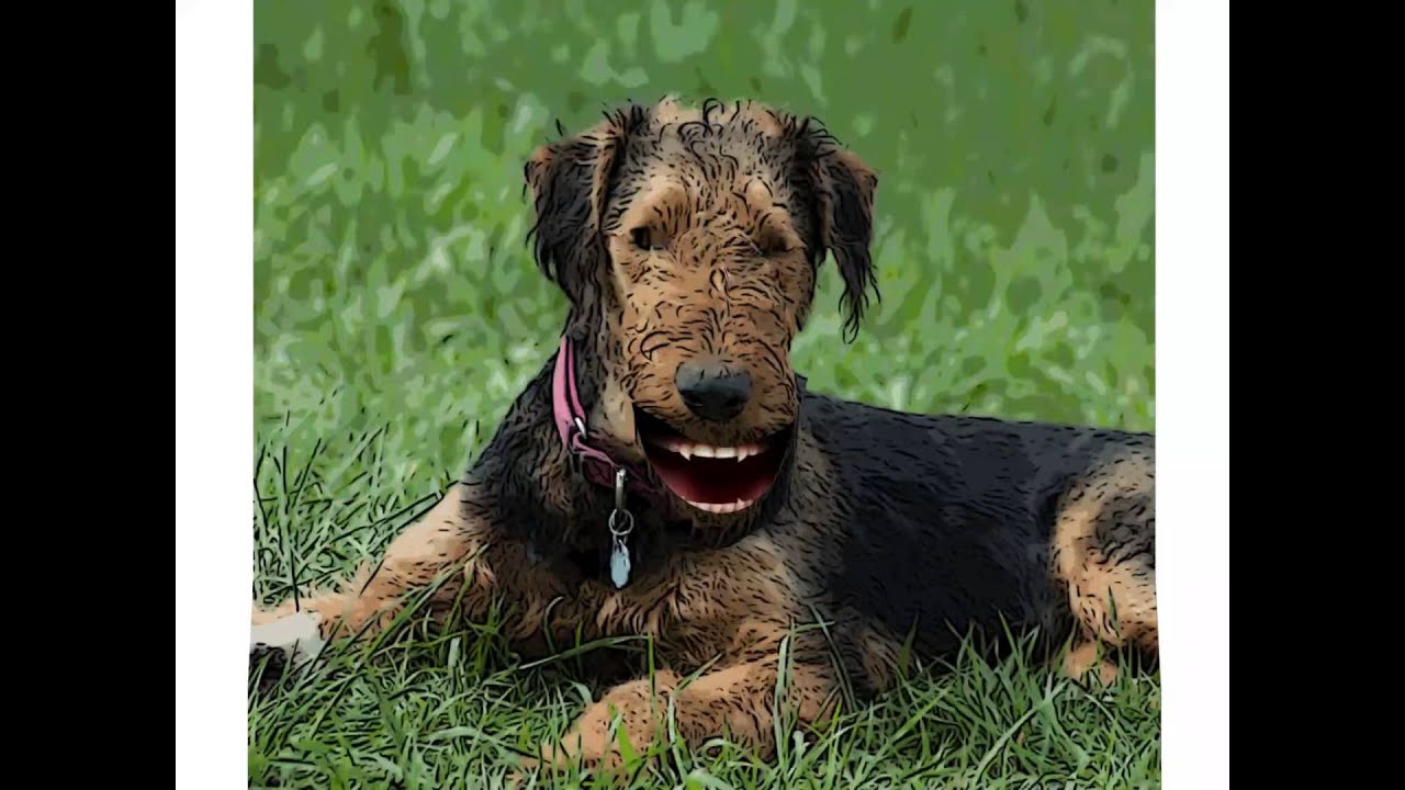 Side Splitting Laughter - YouTube