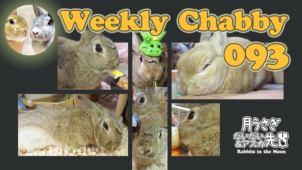 Weekly Chabby 093 - YouTube