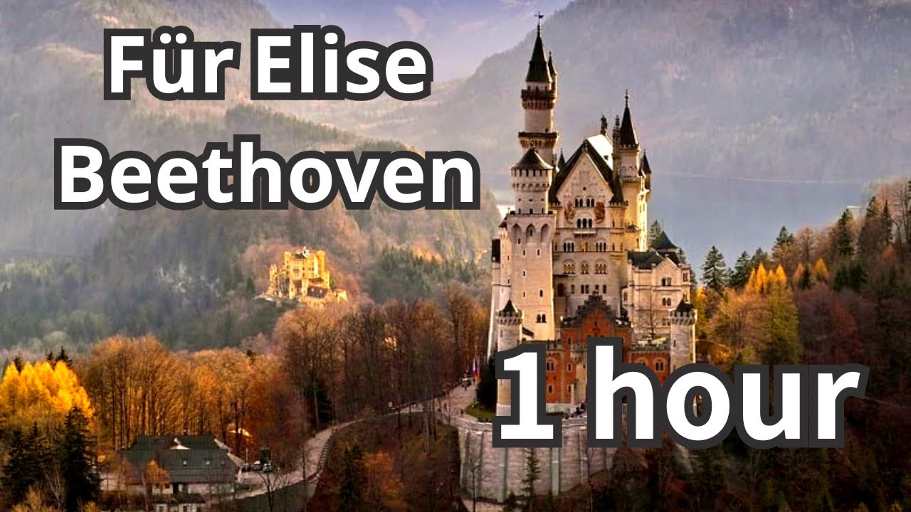 1 Hour of Für Elise Piano Loop by Beethoven for Relaxation, Work, Study and BGM - YouTube