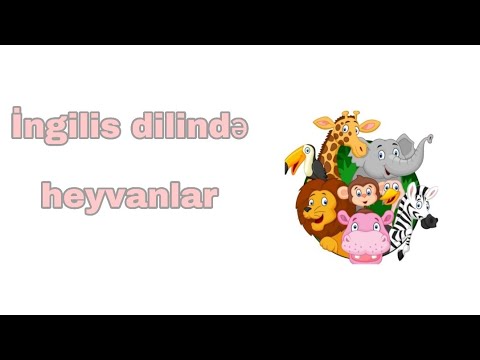 ingiliscə heyvan adları