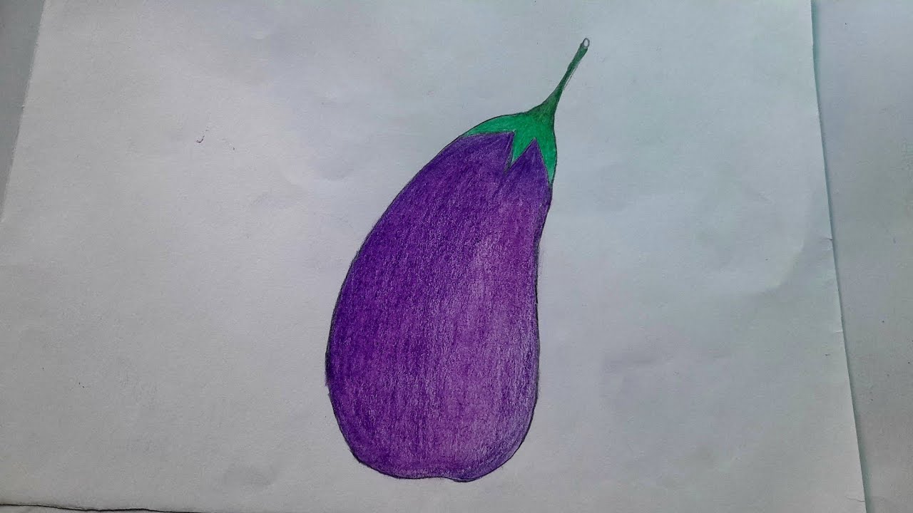 How to Draw Brinjal | Easy Art Brinjal use Color | Brinjal Drawing ...