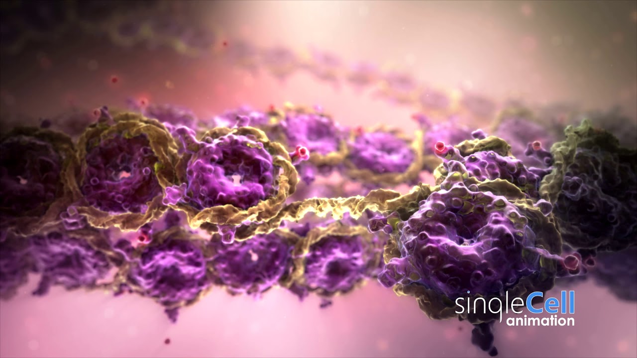 Gene Therapy Animation