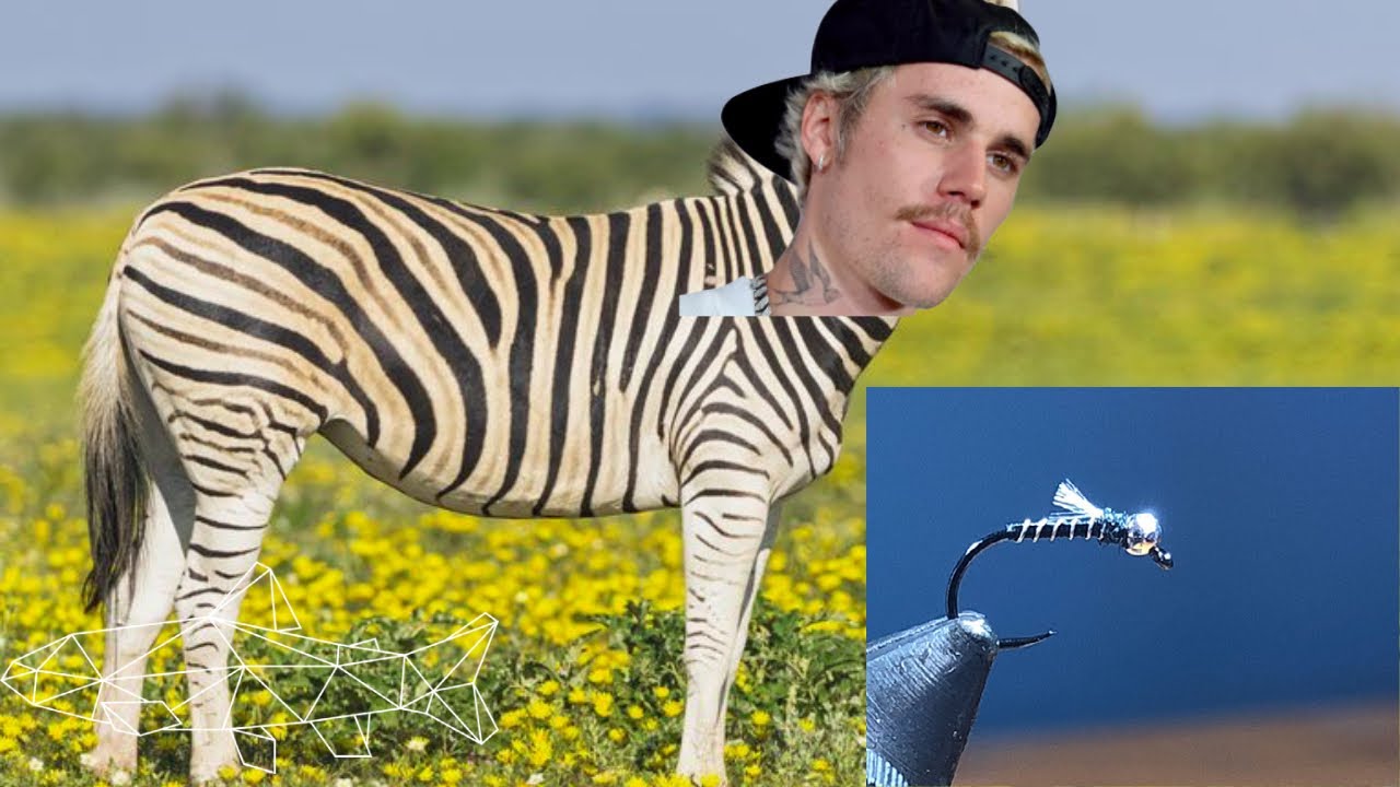 Guide Flies: "Justin Zeeber" Jig Zebra Midge Variation - YouTube