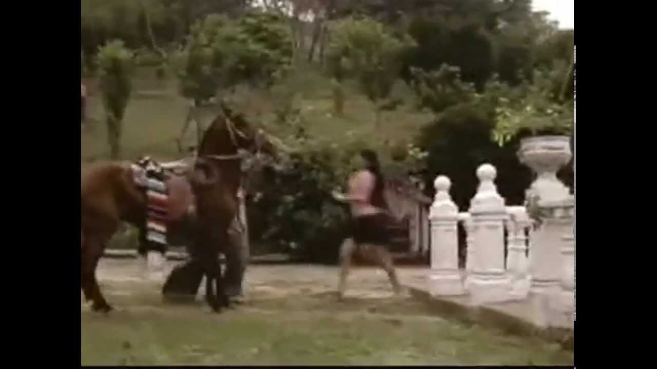 EDWIN REINA - Corazon Vagabundo - YouTube