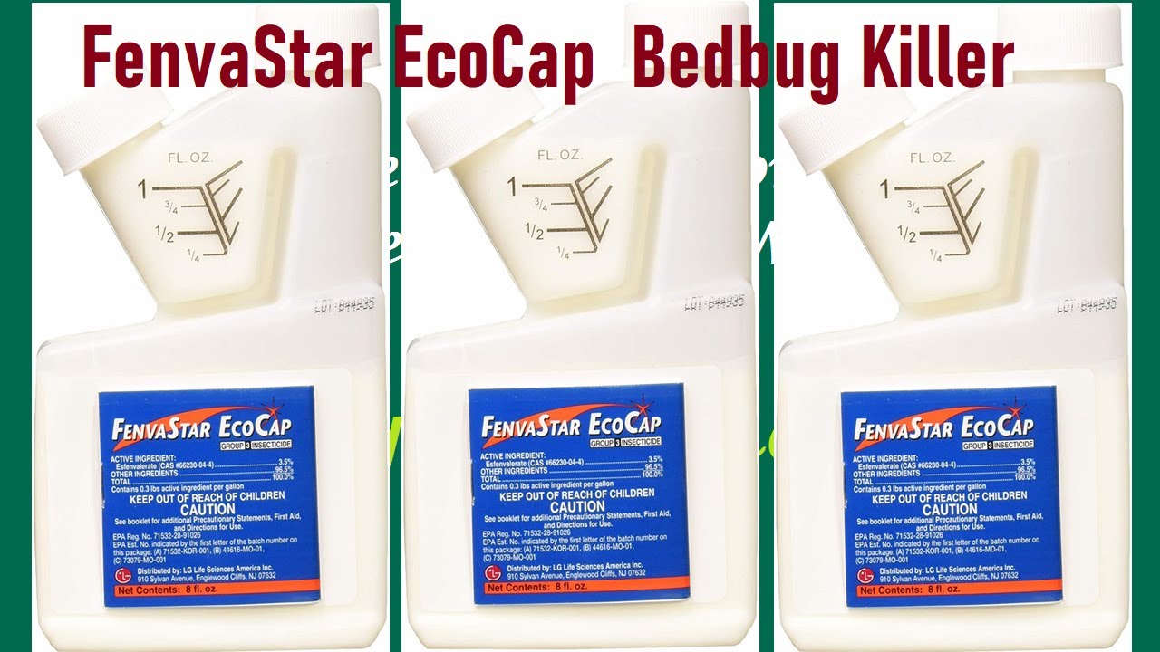 FenvaStar EcoCap for Killing Bed Bugs, Carpenter Bees, Stink Bug, Ants ...