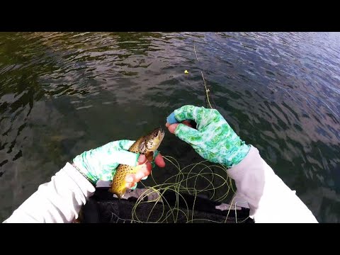 This is my go to lake when it's hot. There's just one "small" problem - YouTube