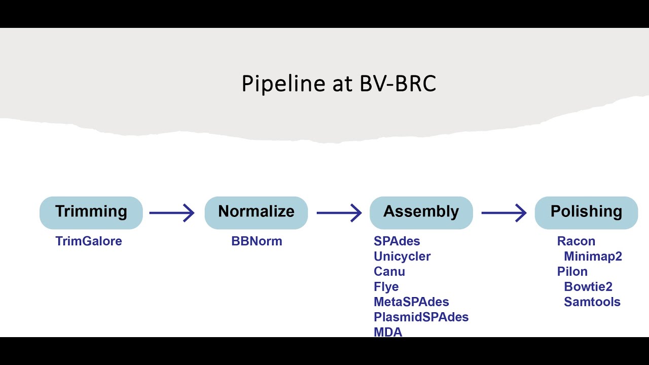 Introduction to the Assembly service - YouTube