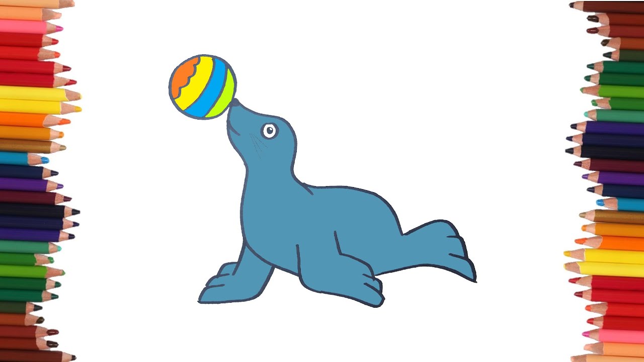 Cómo dibujar una Foca | Dibujos faciles - YouTube