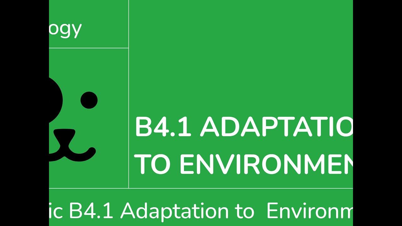 B4.1 Adaptations to the Environment [IB Biology SL/HL] - YouTube