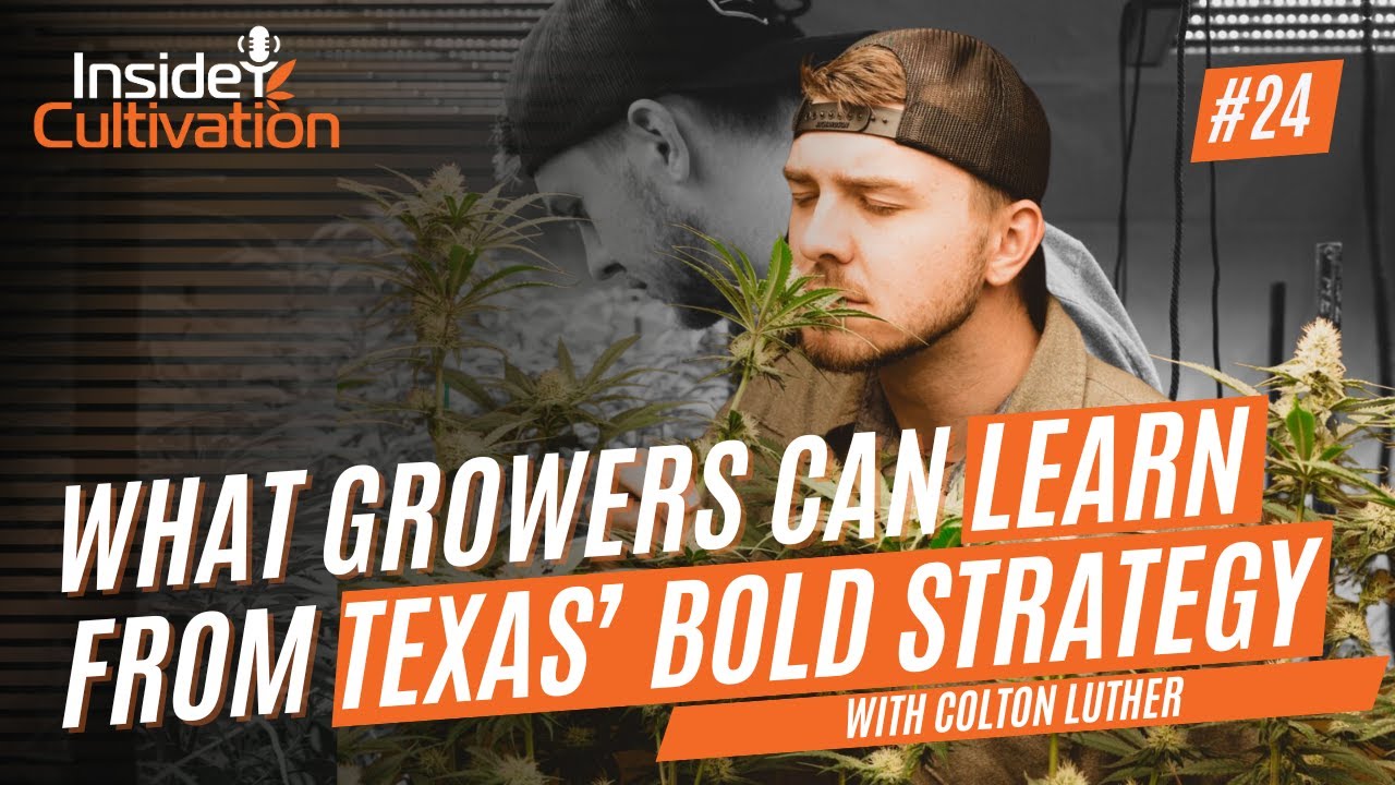 What growers can learn from Texas’ bold strategy | Episode 24 - YouTube