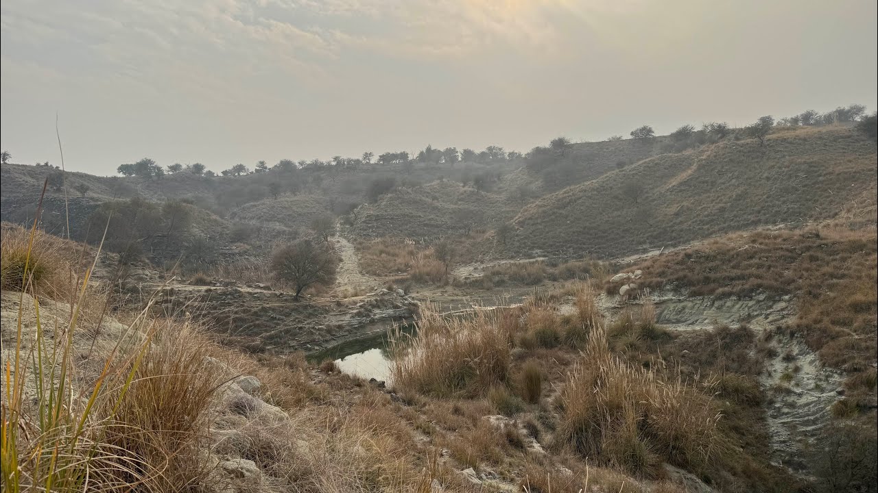 160 kanal land with fish pond chakwal postal code 48800 - YouTube