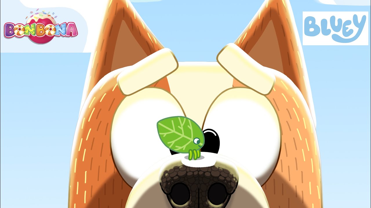 Bluey | الكرتون الحاصل على ١٦ جائزة | حصرياً بالدبلجة العربية على ...