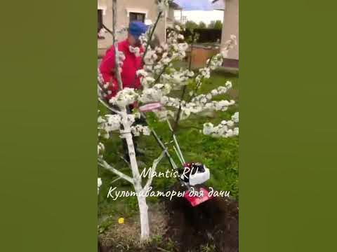 Легкий культиватор для женщин Мантис Хонда 7940 в саду - YouTube