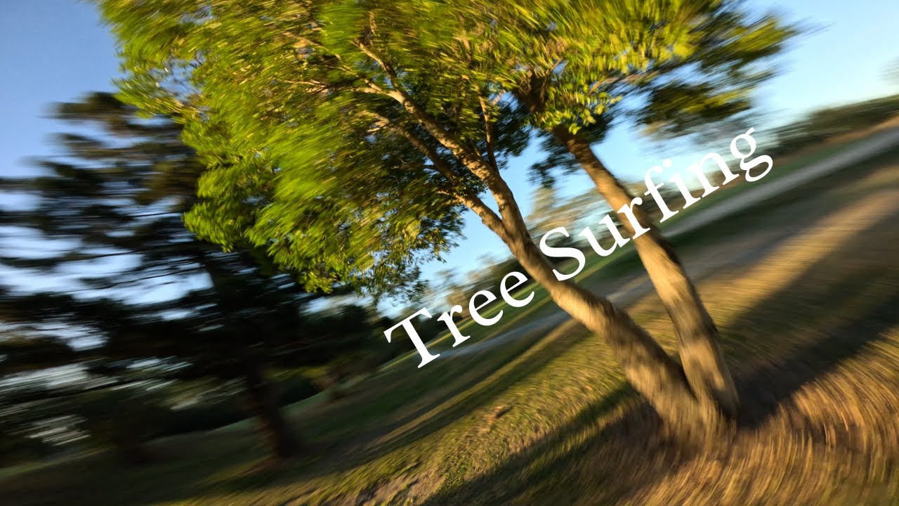 Tree Surfing 🌳 || FPV Freestyle - YouTube
