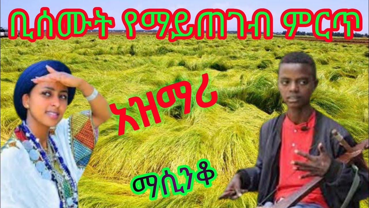 Ethiopia: ምርጥ የትዝታ አዝማሪ ማሲንቆ - Best Ethiopian Traditional Azmari ...