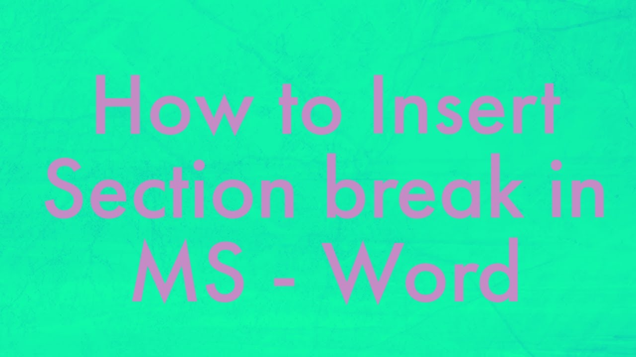 Beginners Guide to Inserting a Section Break in Microsoft Word - YouTube