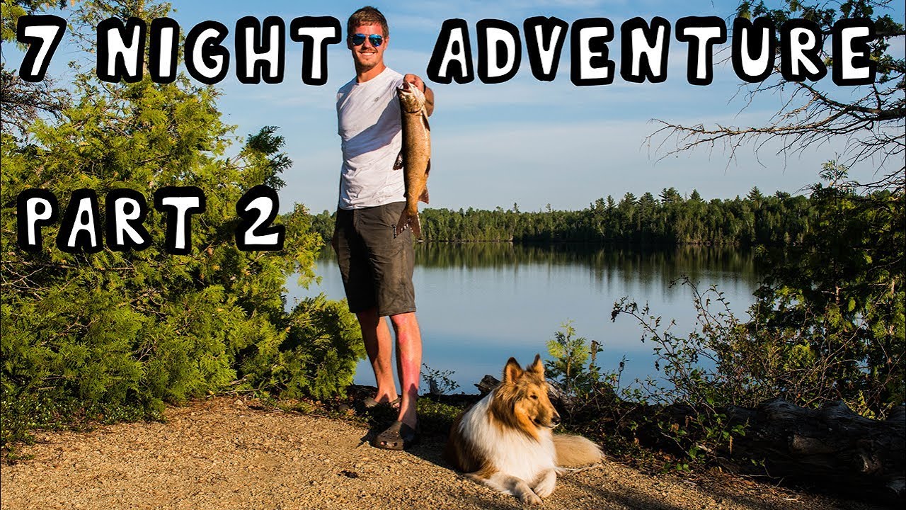 7 Night Wilderness Adventure With My Dog (Part 2 of 3) - YouTube