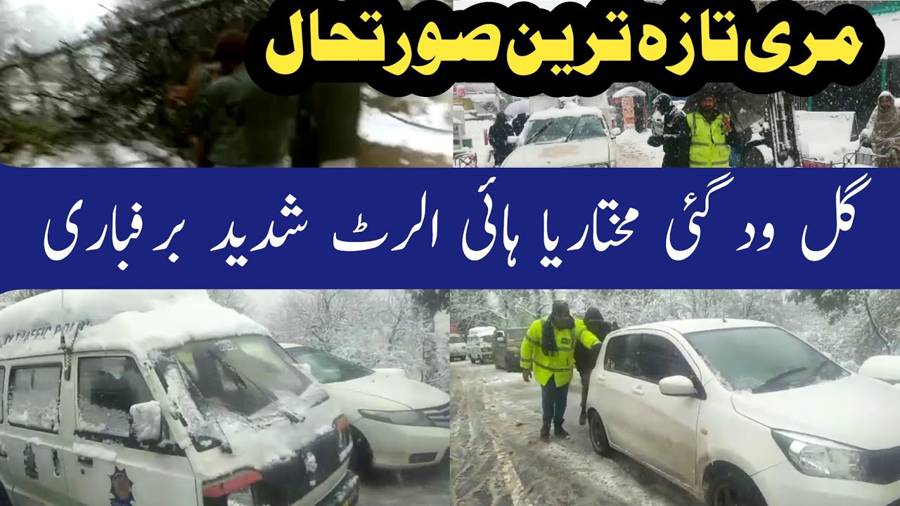 Murree live today | #murree High alert heavy #snowfall | muree weather ...