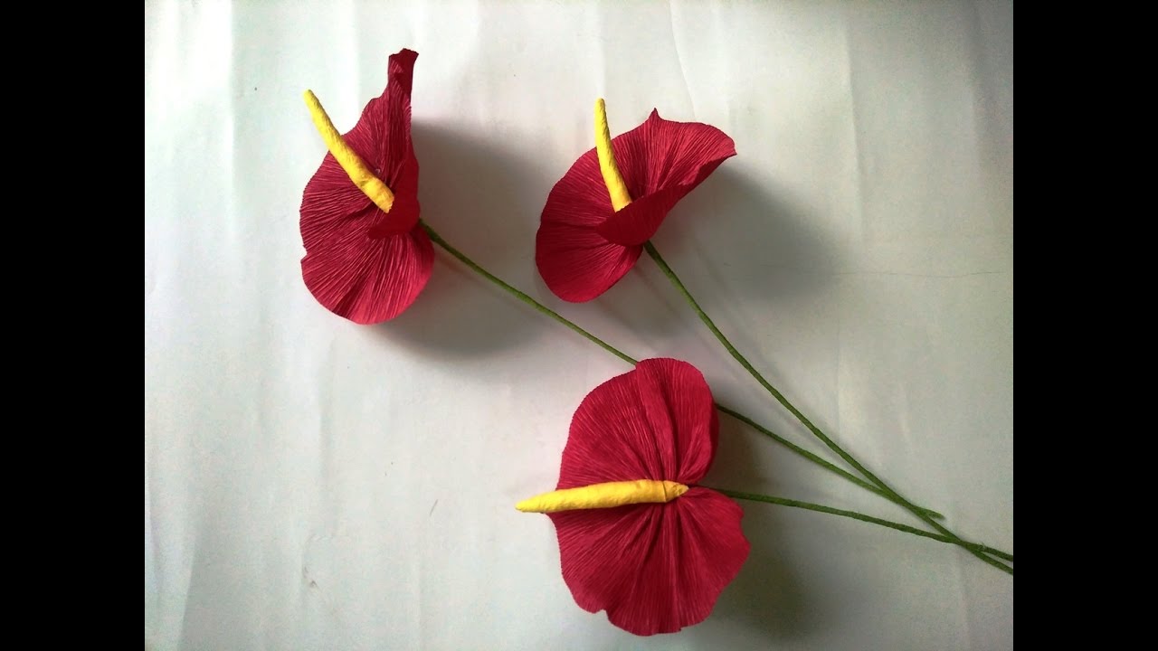 DIY - craft tutorial How to make paper flower - Anthuriums - Làm hoa ...