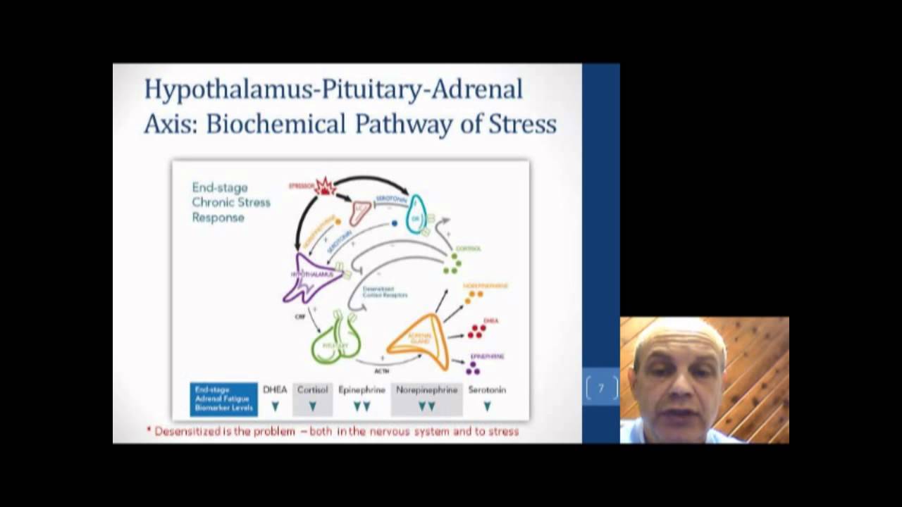 Dr. Zodkoy Explains his Resiliency Program for Veterans - YouTube