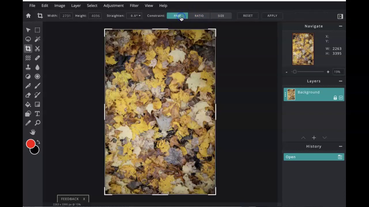 Pixlr E - Crop Tool - YouTube