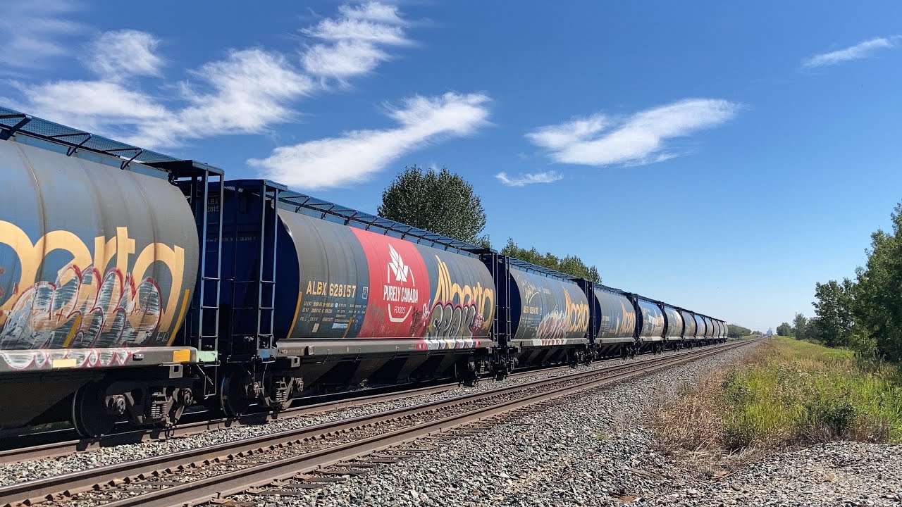14 Alberta Grain Hoppers!! Canadian Pacific Mixed West, at Dalemead AB ...