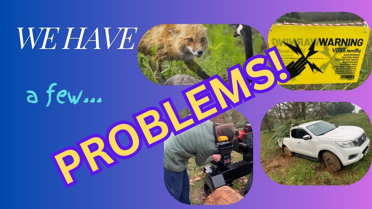 We have a few PROBLEMS! - YouTube