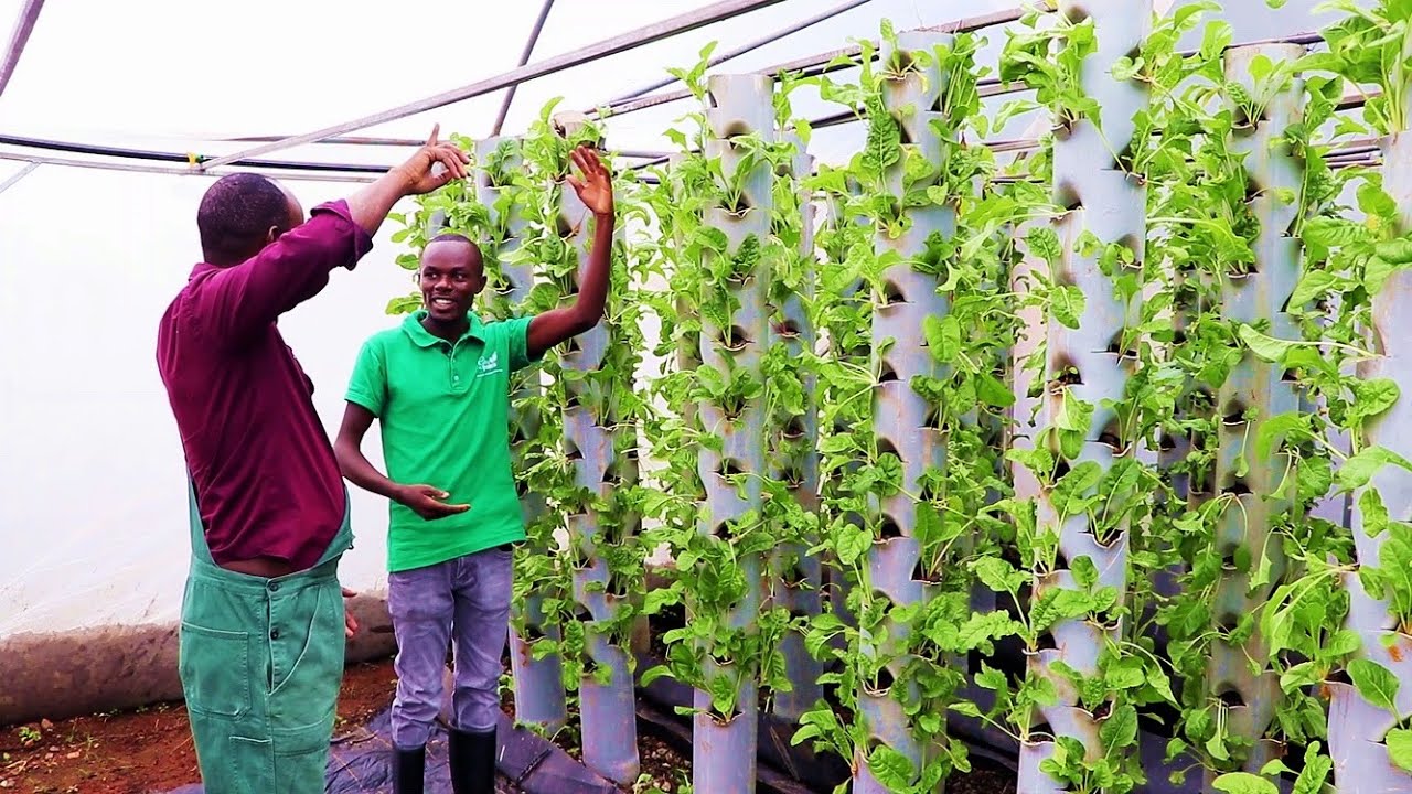 VERTICAL FARMING-MY PORTABLE FARM - YouTube