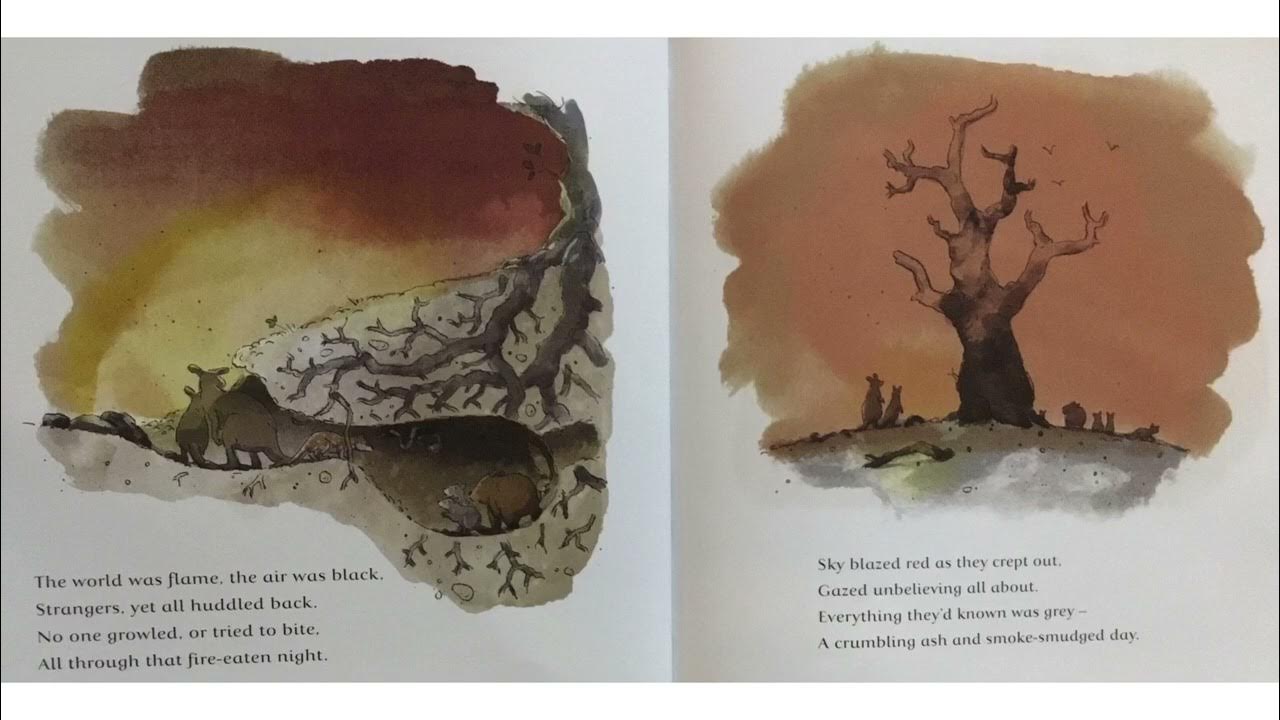 The Fire Wombat - Jackie French and Danny Snell - YouTube