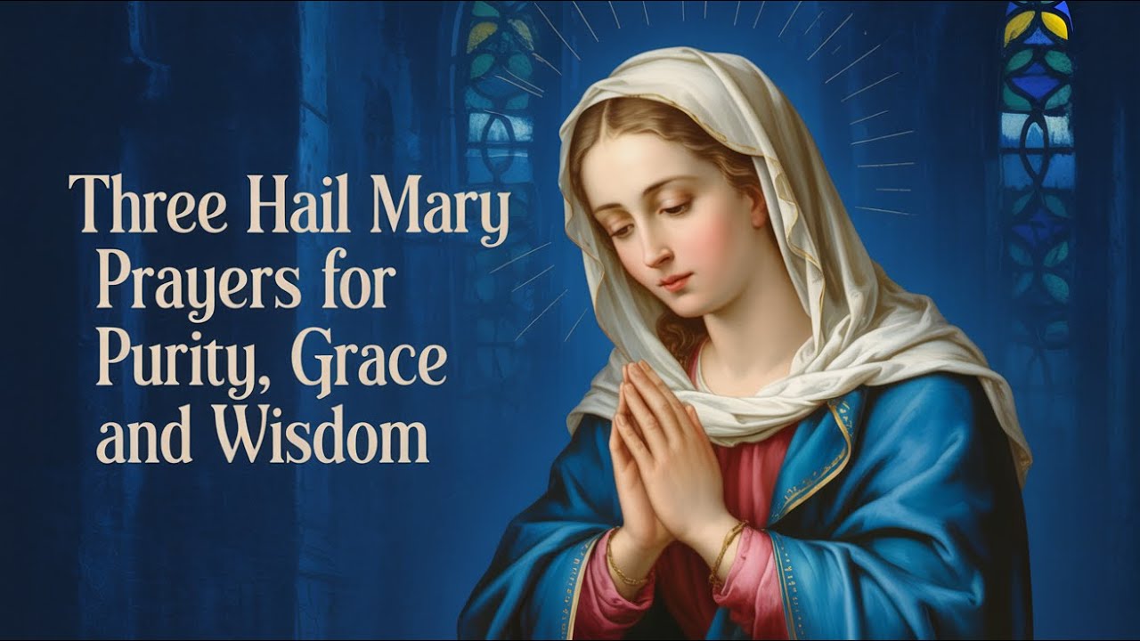 Three Hail Mary Prayers for Purity, Grace and Wisdom | Powerful Daily ...