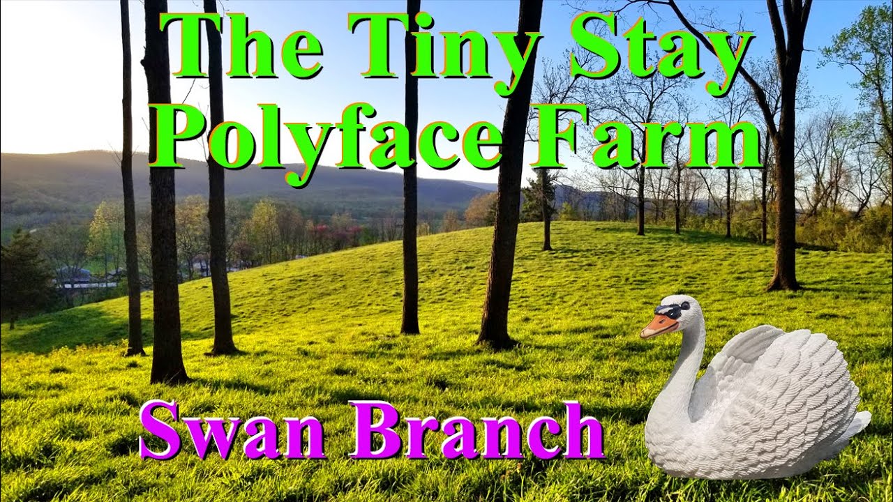 Video Tour of the Tiny Stay at Polyface Farm - YouTube
