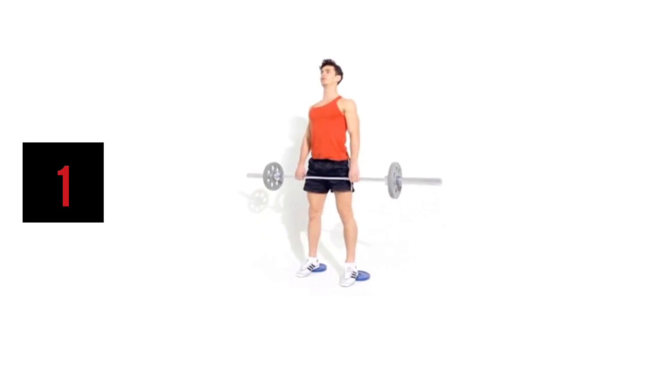 LATIHAN EFEKTIF UNTUK MEMBENTUK OTOT MIDDLE BACK ll fitness ...