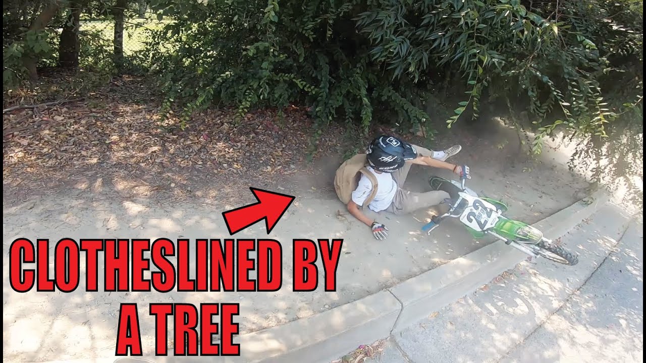HE CRASHED INTO A TREE | Urban Moto Pitbike Shenanigans - YouTube
