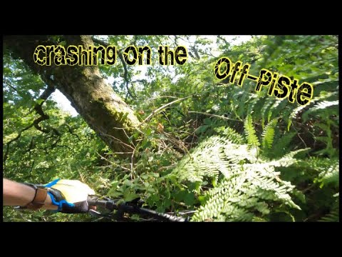 riding some off-piste trails after work crashed but survived #adventure ...