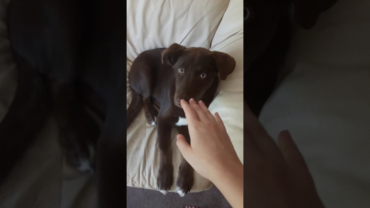 Gently Monch - YouTube