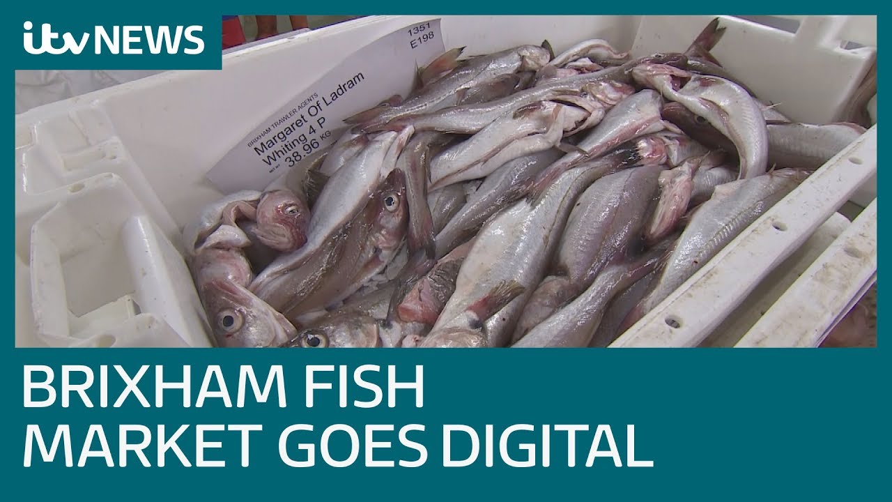 Iconic Brixham fish market 'shout' auction takes place for last time ...