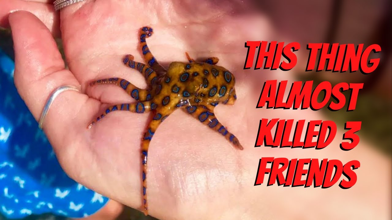 ANIMAL ENCOUNTERS That Will FREAK You Out - YouTube